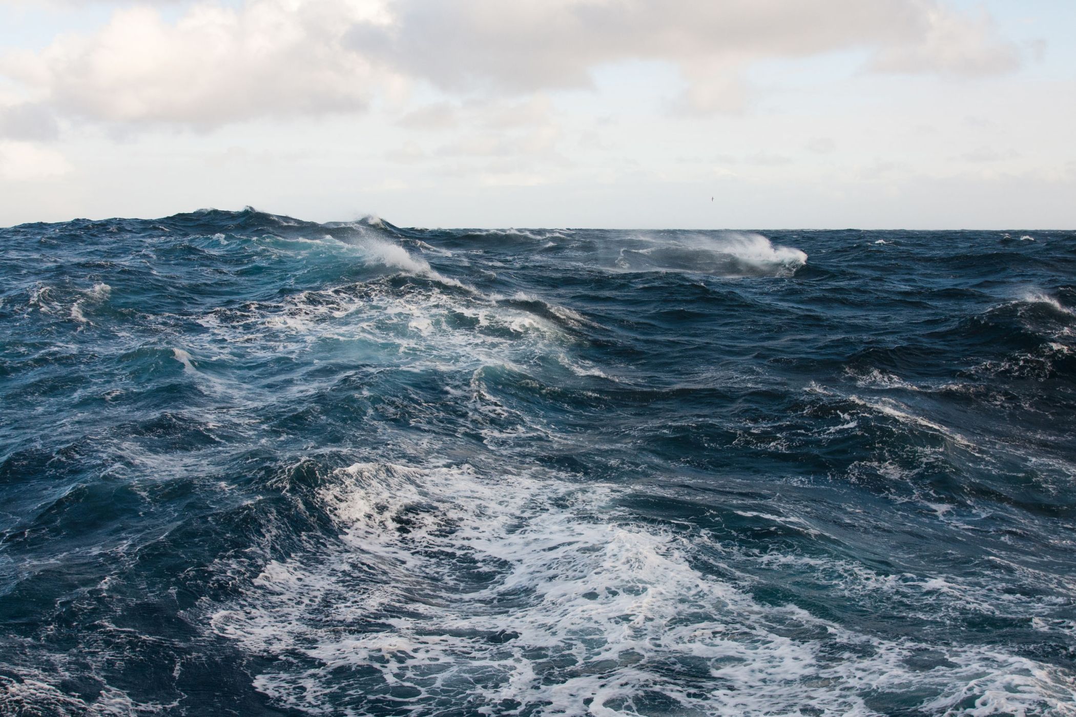 How Does Climate Change & Global Warming Affect The Oceans | Next Level ...