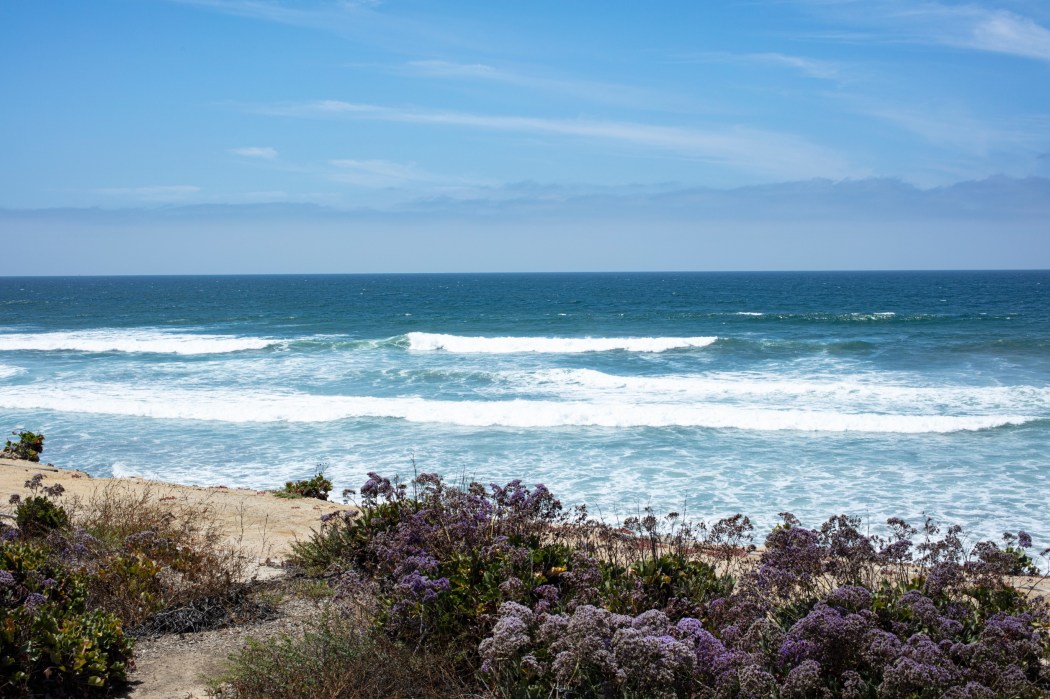 Guide to Del Mar Beaches - Where to Go & What to Expect | Next Level ...