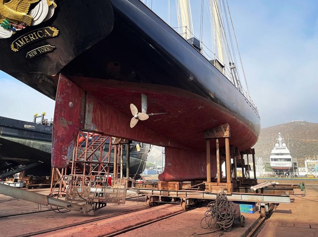 San Diego Whale Watching Tour - What to Expect Aboard the Yacht America ...